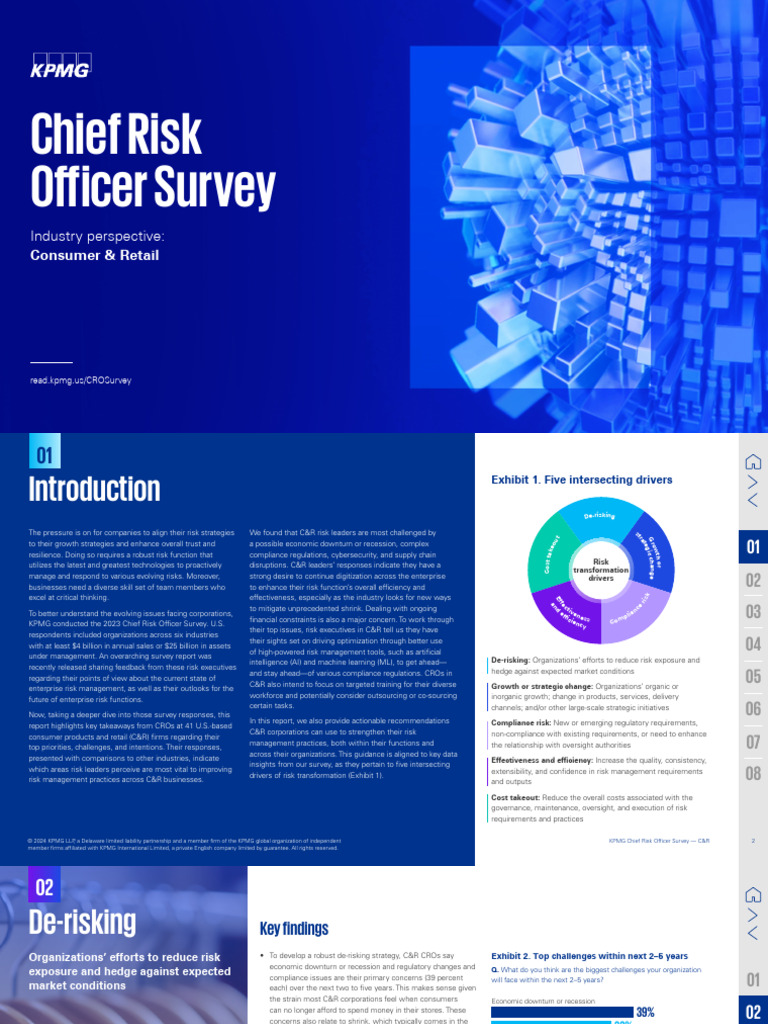 KPMG 07 24 - Chief-Risk-Officer-Survey-Highlights | PDF | Risk ...
