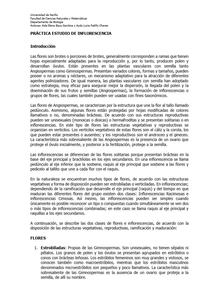 Practica Estudio de Inflorescencia - 2024B | PDF | Flores | Ramas de la ...