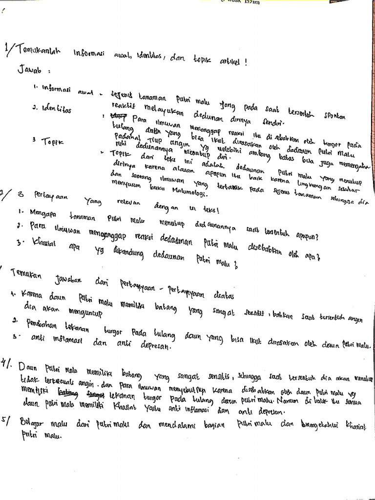 ScanMaster 20241111 | PDF