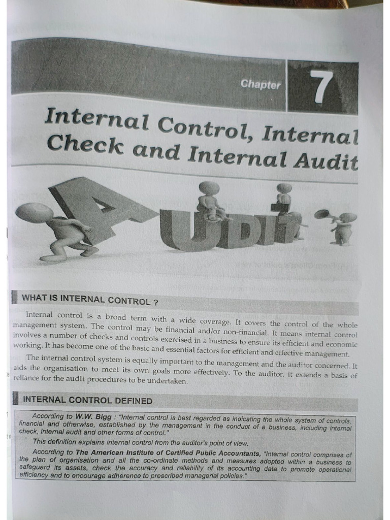 Unit 3 Internal Control | PDF