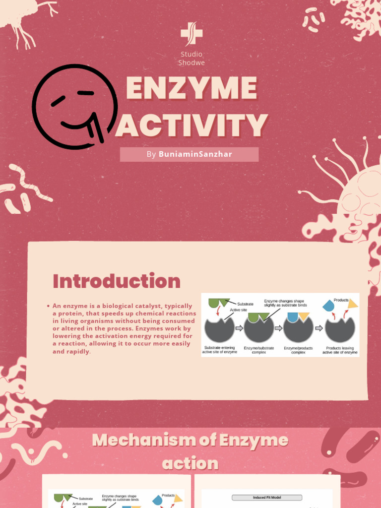 Understanding Enzyme Activity and Function | PDF | Wellness