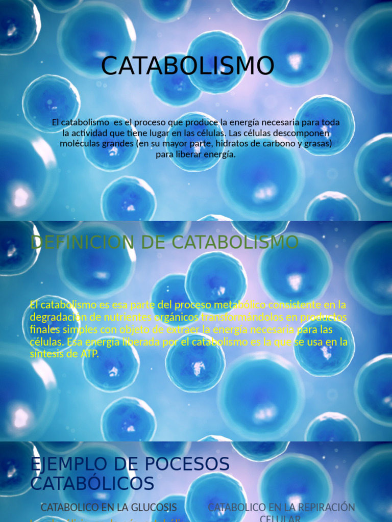 CATABOLISMO | PDF