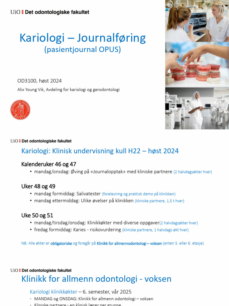 OD3100 Journal - Anamnese - Behandlingsplan - OPUS - Høst2024 | PDF