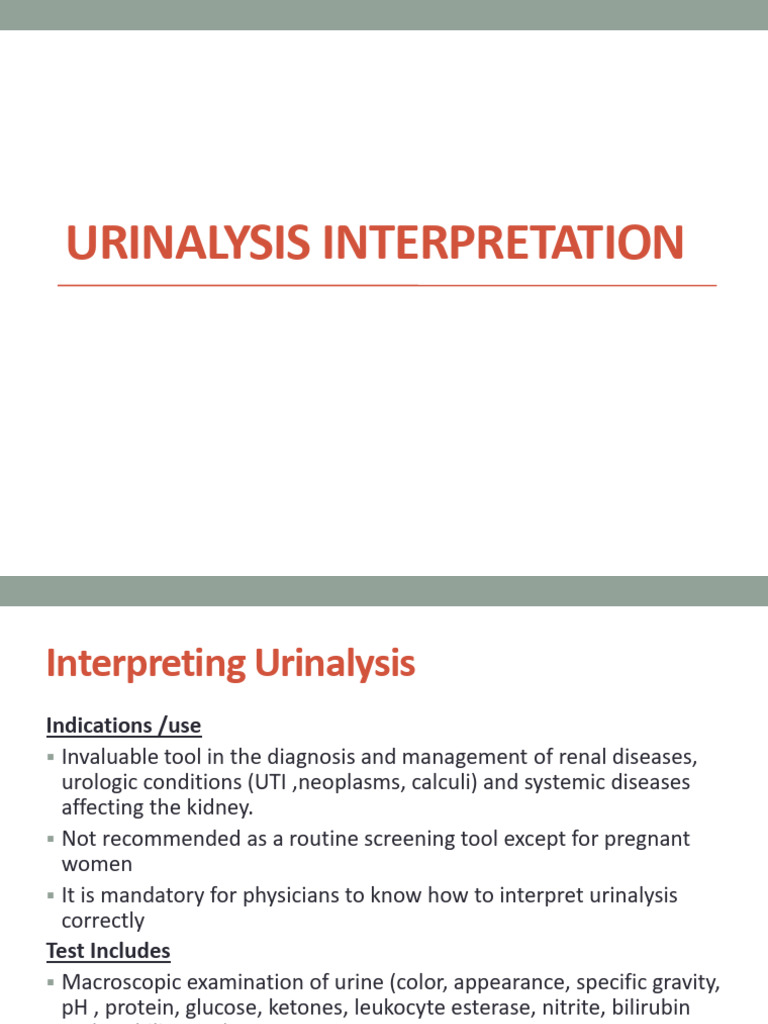 Urinalysis Interpretation | PDF | Kidney | Kidney Disease