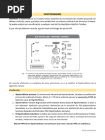 Escala Zulewski para Hipotiroidismo | PDF