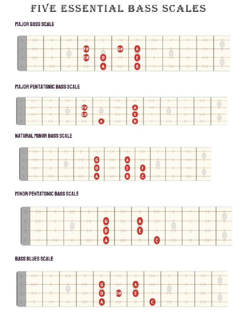 Five Basic Bass Scales | PDF