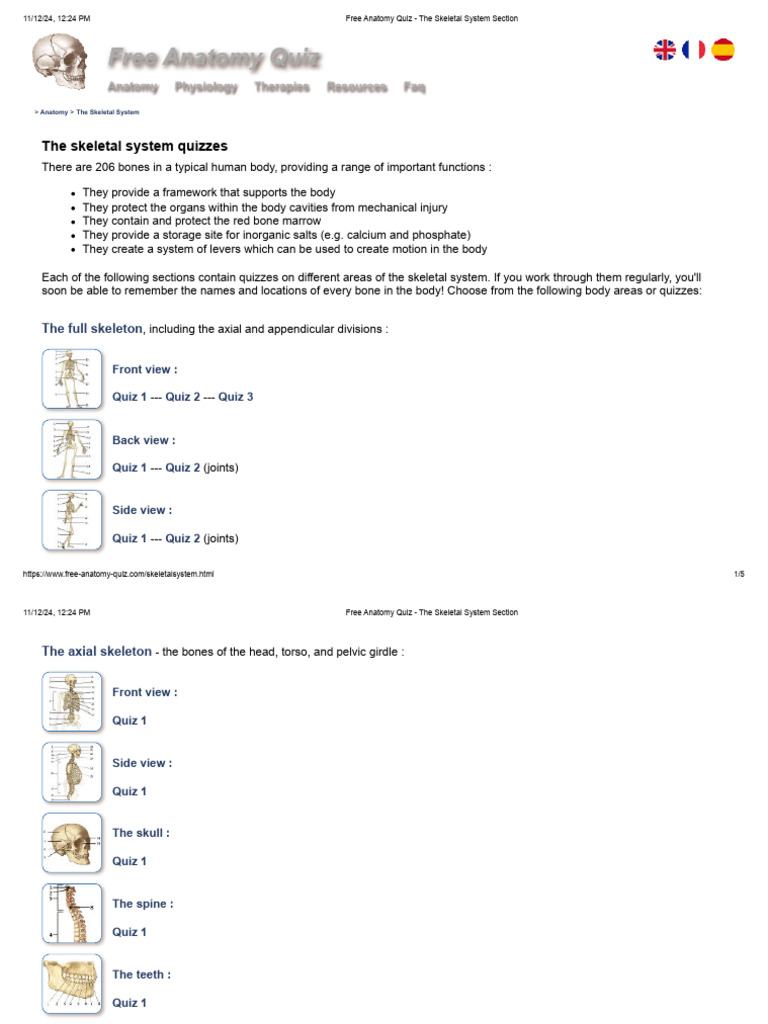 Skeletal System Anatomy Quizzes | PDF | Skeleton | Anatomy