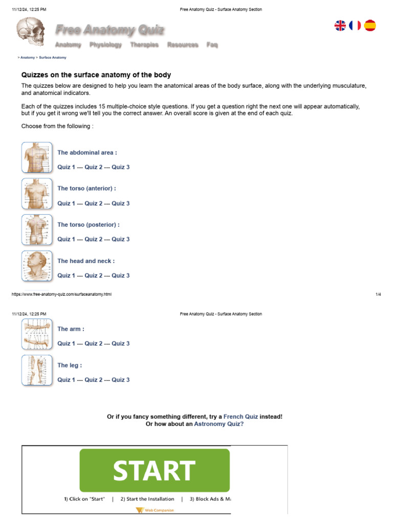 Ee Anatomy Quiz - Surface Anatomy Section | PDF | Anatomy | Quiz