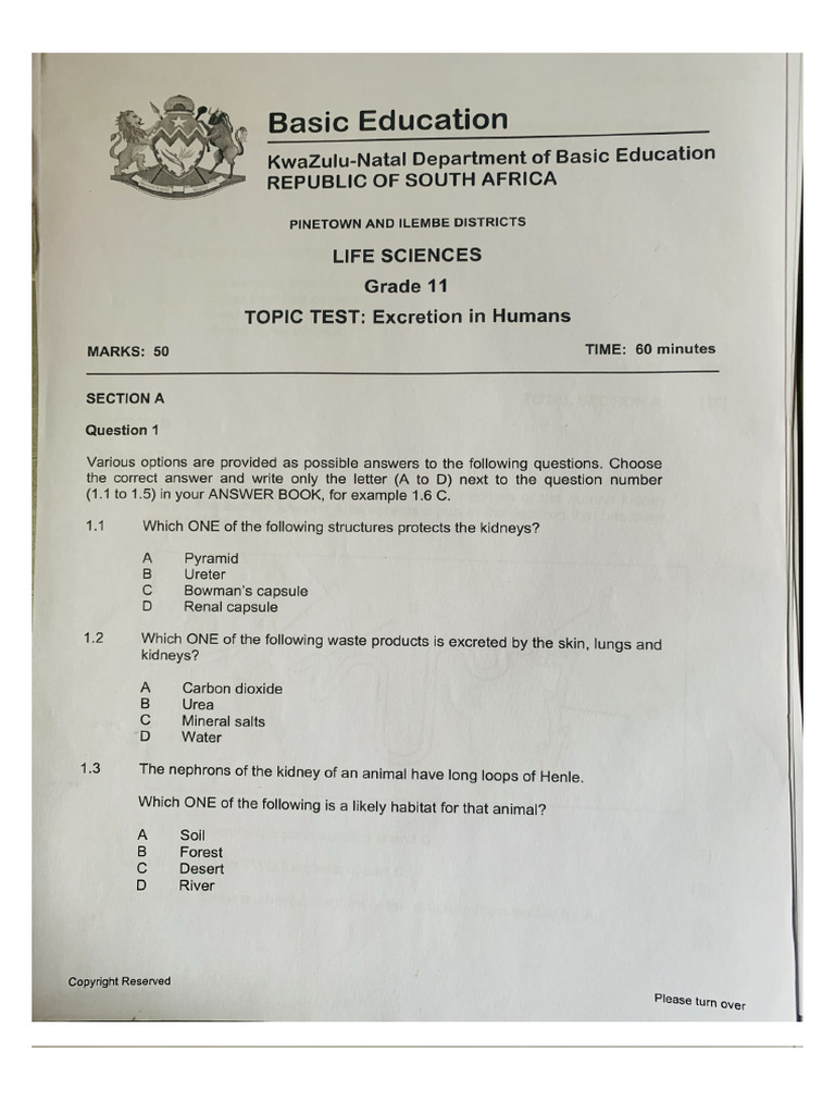 Topic Test - Excretion | PDF