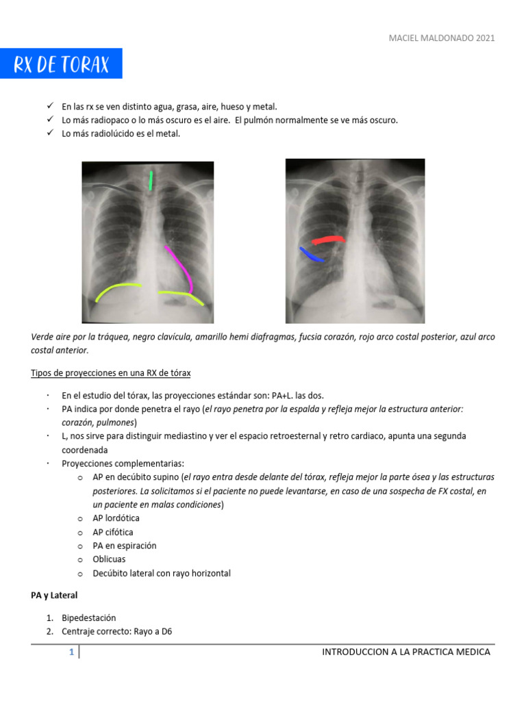Proyecciones y Análisis de RX de Tórax | PDF | Pulmón | Tórax