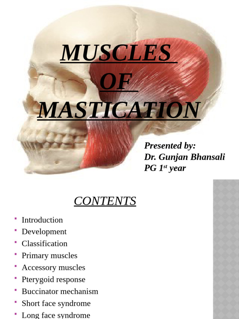 1) Muscles of Mastication | PDF | Human Head And Neck | Soft Tissue
