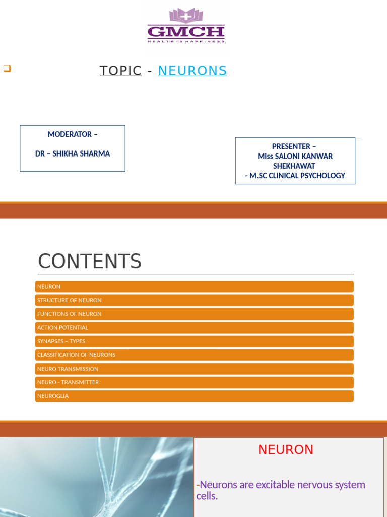 Topic - Neurons (2) | PDF | Chemical Synapse | Neuron