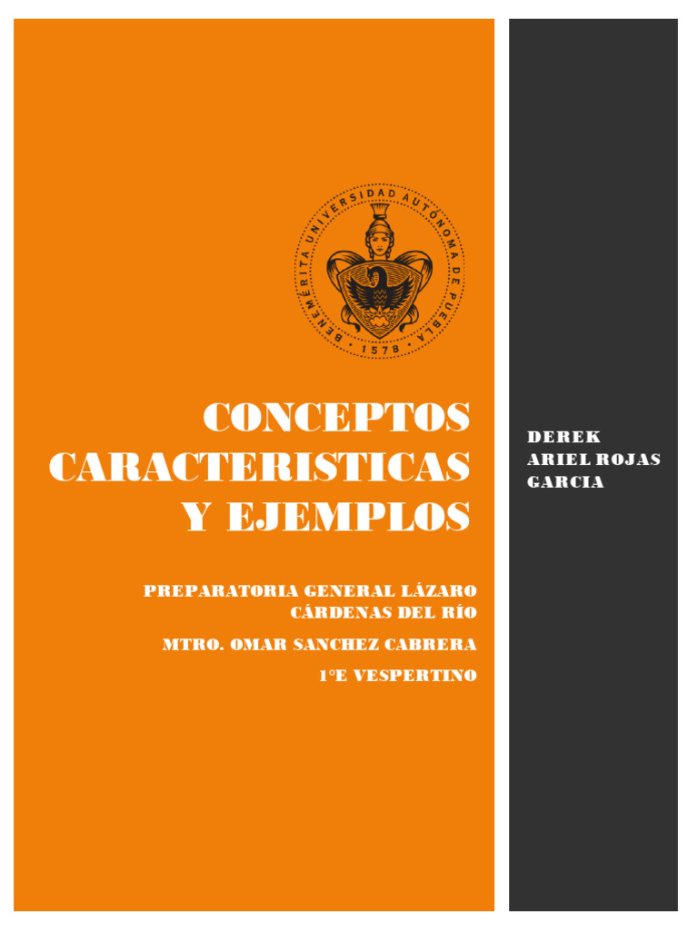 Conceptos Caracteristicas y Ejemplos - 113425 | PDF | Concepto | Espacio