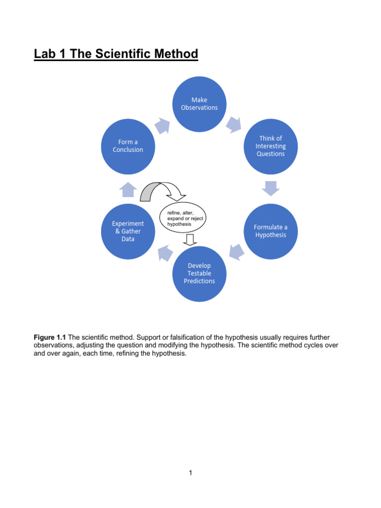 Lab 1 The Scientific Method | PDF | Scientific Method | Experiment