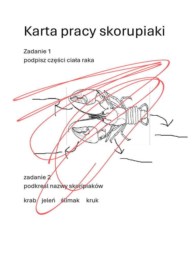 Dokument (4) - Kopia | PDF