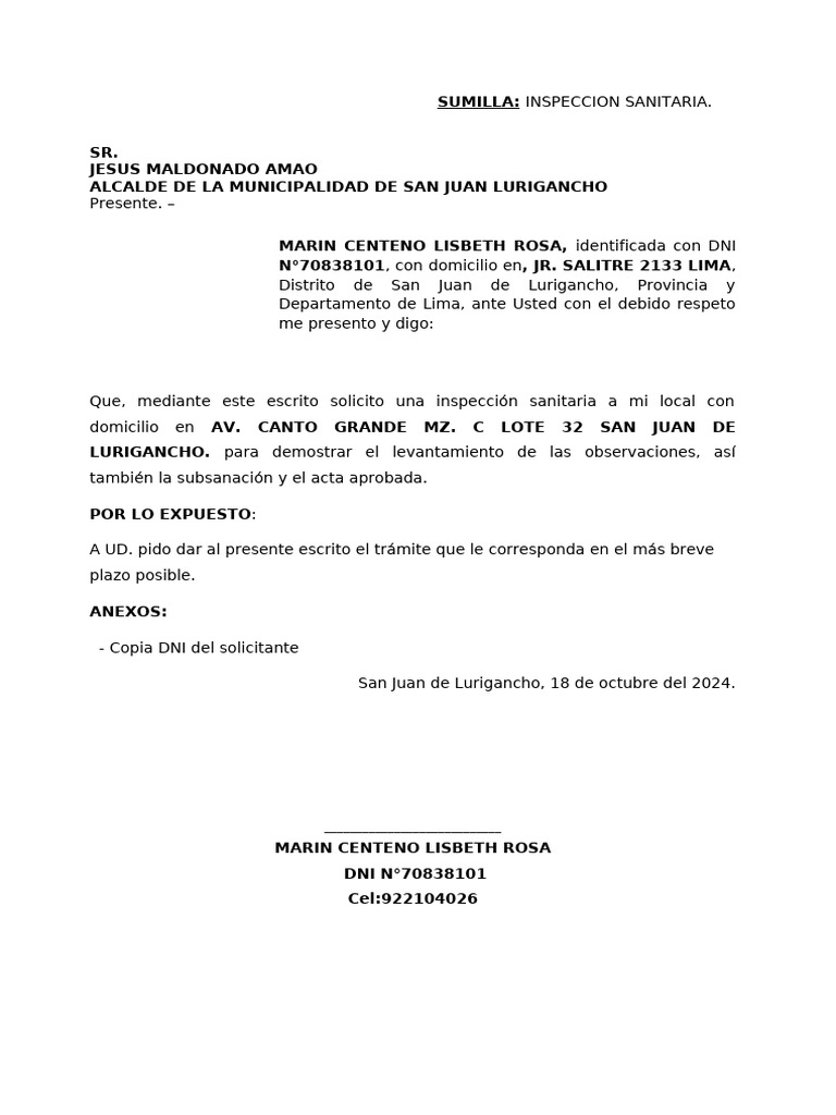 Solicito Inspeccion Lisbeth | PDF