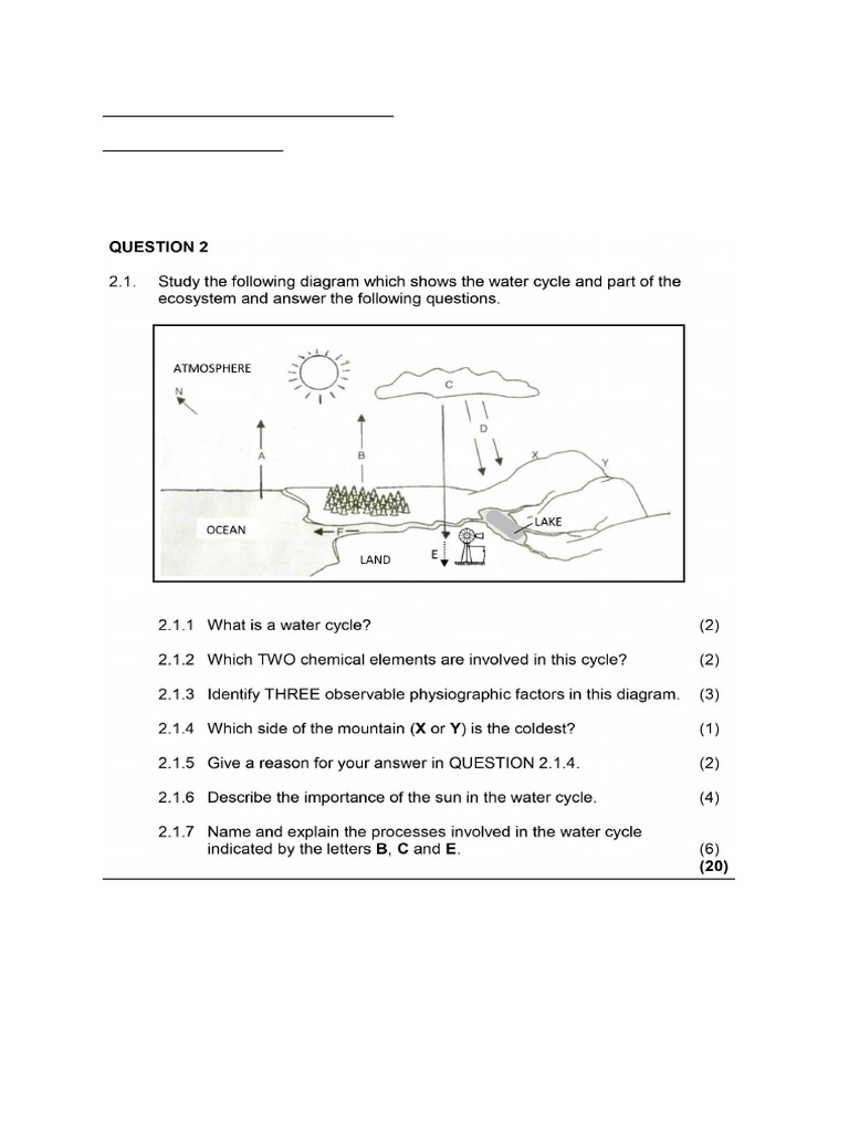 Life Science Water and Carbon Cycle Worksheet | PDF