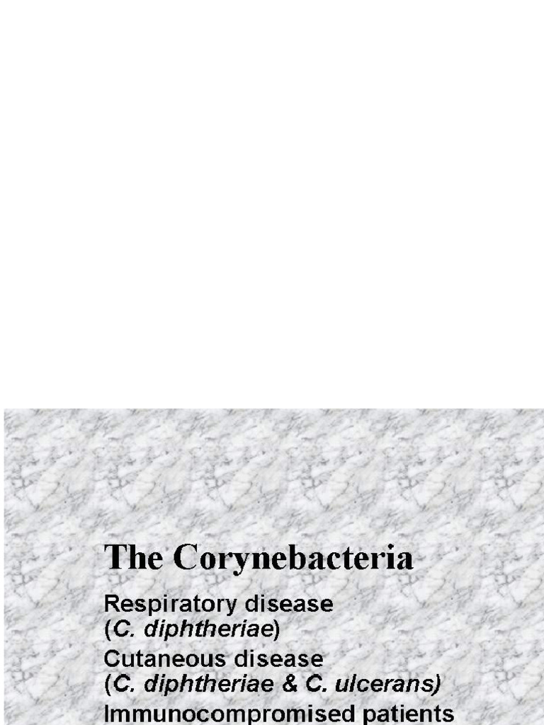 Corynebacterium Diphtheriae 1 | PDF