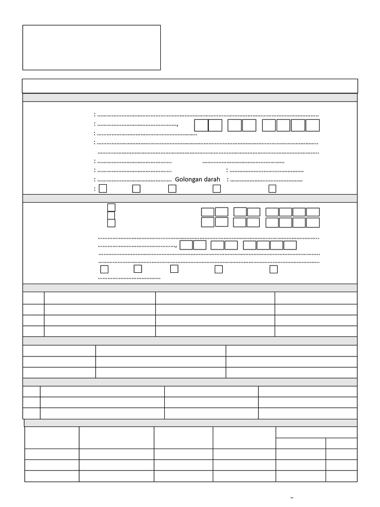 Form Data Pelamar SIL - 2024 Font 11 | PDF