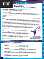 Spectrum Language Arts Grade 5 | PDF