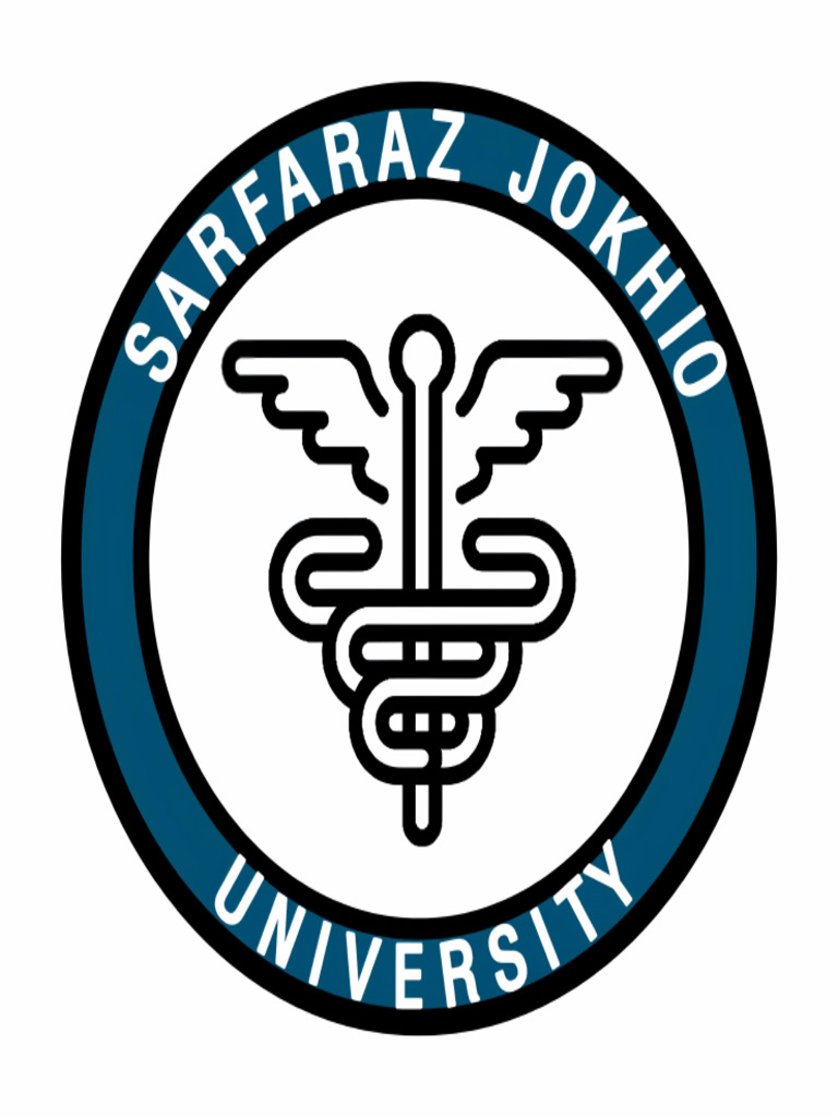 Sarfaraz Jokhio University Logo Only - 24!07!19!16!47-38-999 | PDF