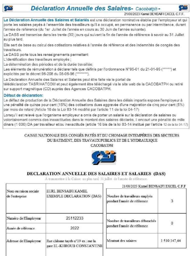 Déclaration Annuelle Des Salaires - Cacobatph | PDF