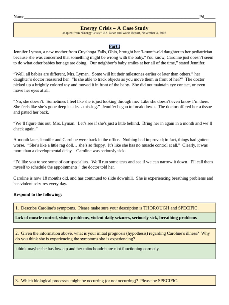 Jaxon - Energy Crisis Case Study | PDF