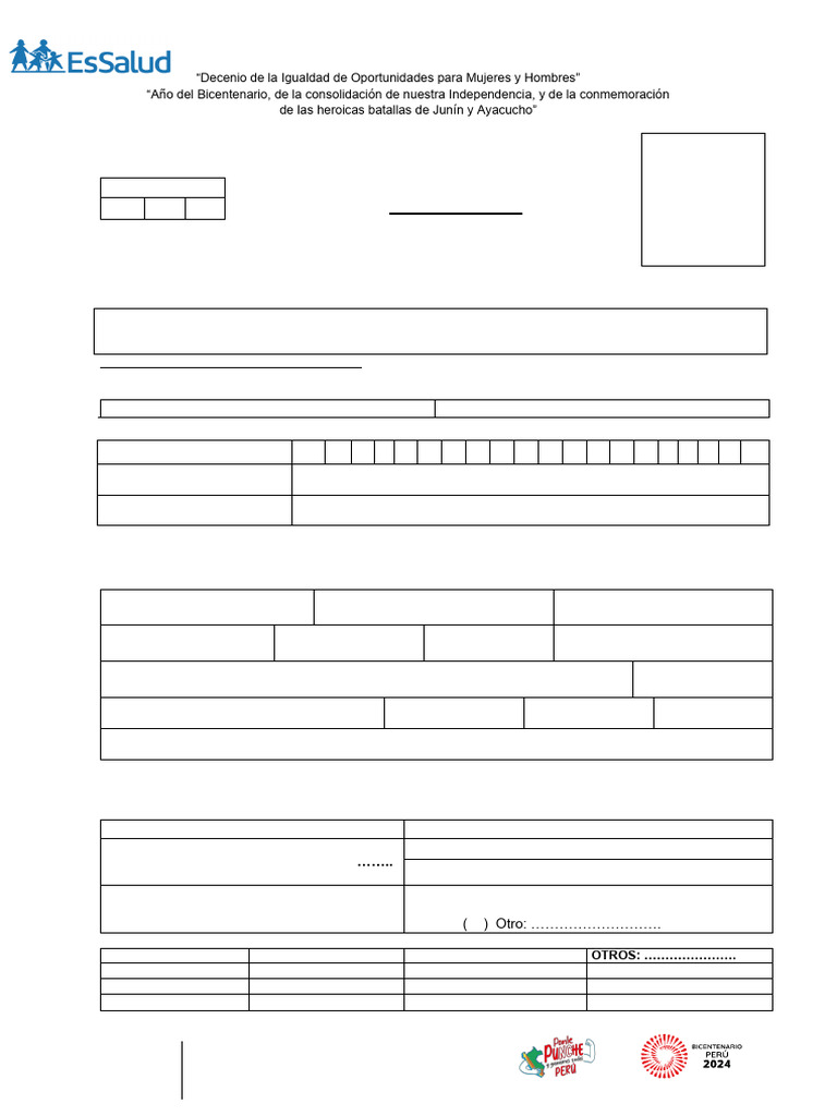 Formato 01 Practicas 2024 | PDF