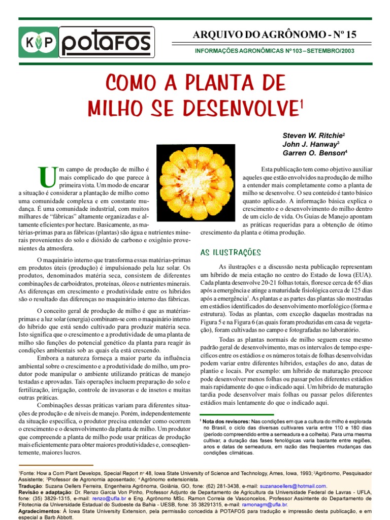 Fenologia Do Milho