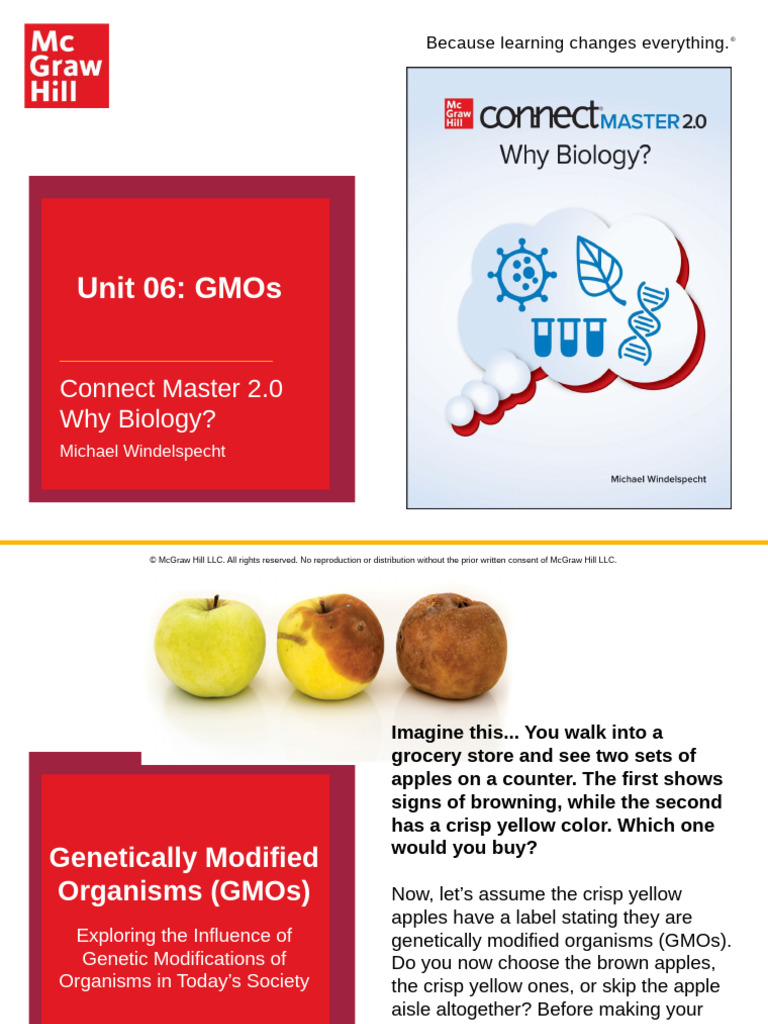 Lab 5 Biotechnology and Society Module GMO | PDF | Photosynthesis | Genetically Modified Organism