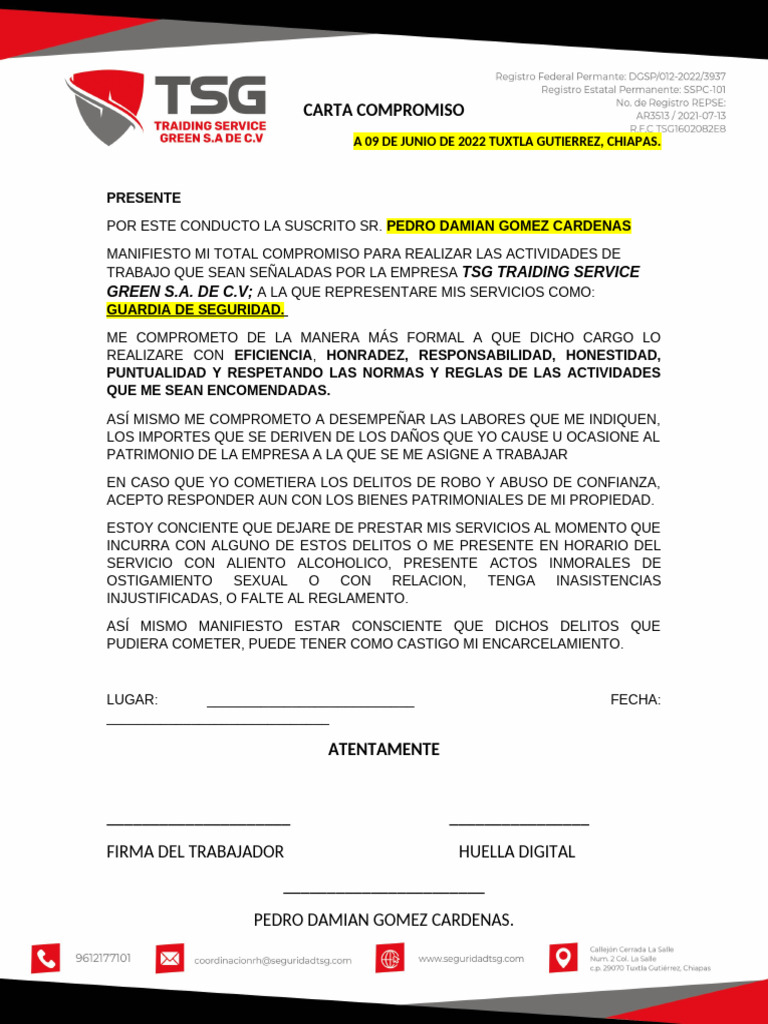 Carta Compromiso TSG | PDF | Negocios