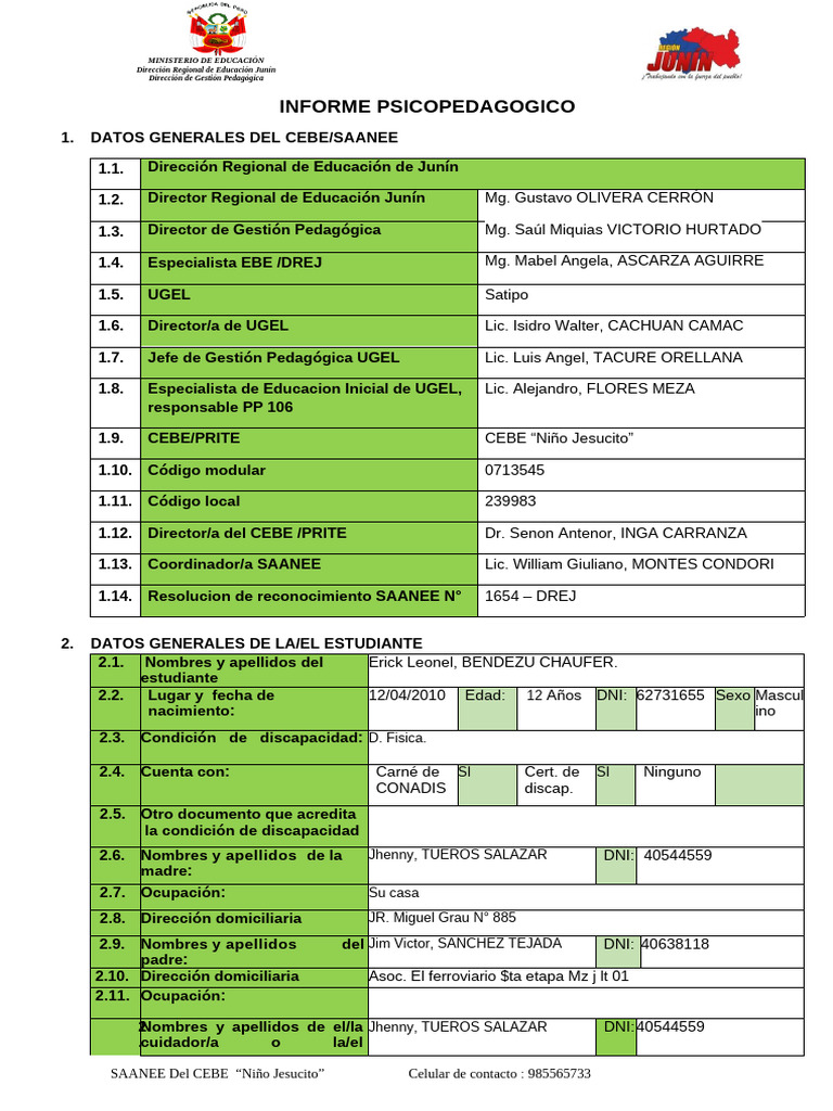 INFORME PSICCOPEDAGOGICO Erick Leonel | PDF | Aprendizaje | Maestros