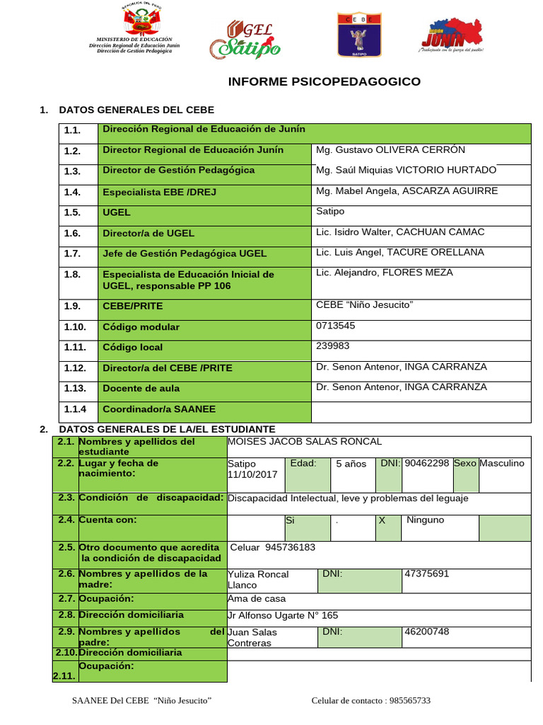 Informe Psicopedagogico Rellenado Moises Jacob | PDF | Aprendizaje ...