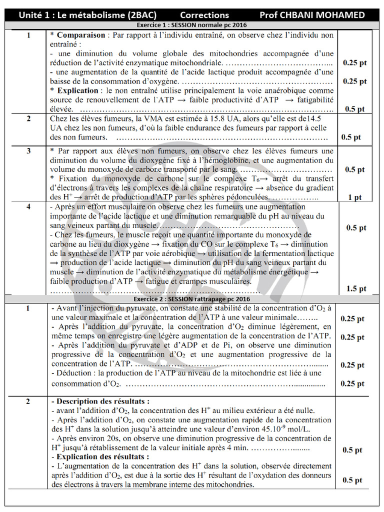 Serie Bac Exer - Correction | PDF