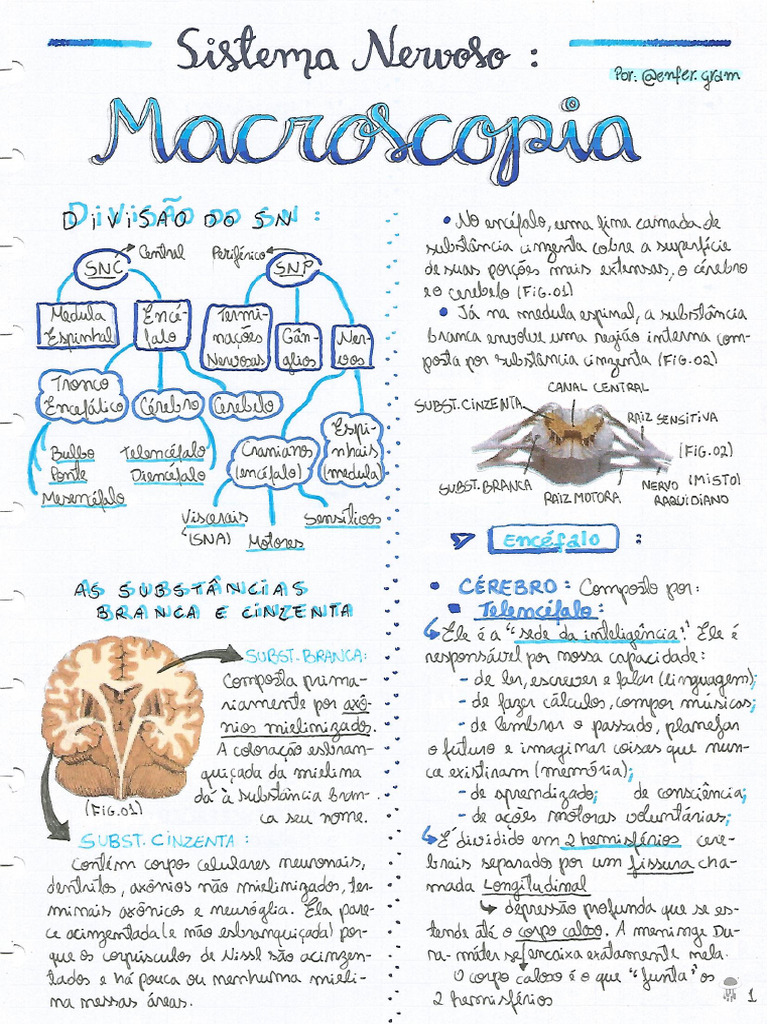 Macroscopia 2 | PDF