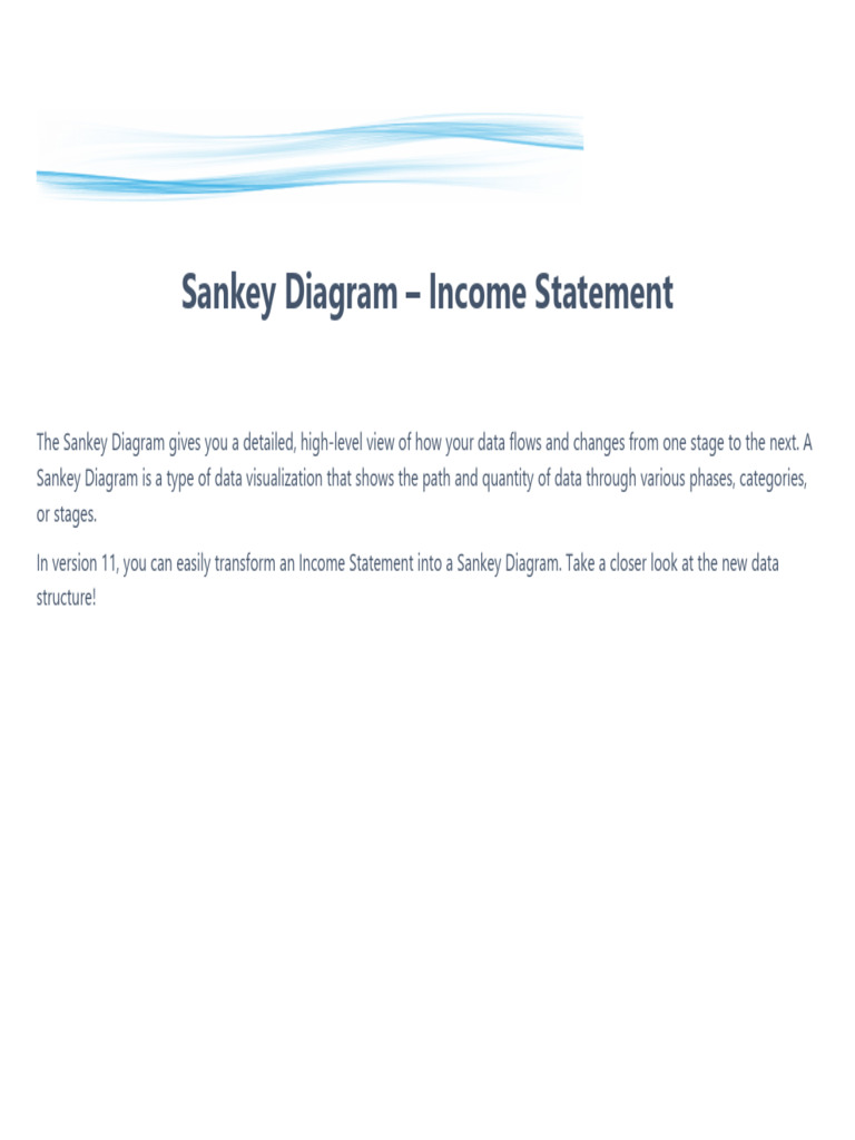 007 - Sankey Diagram - Income Statement | PDF