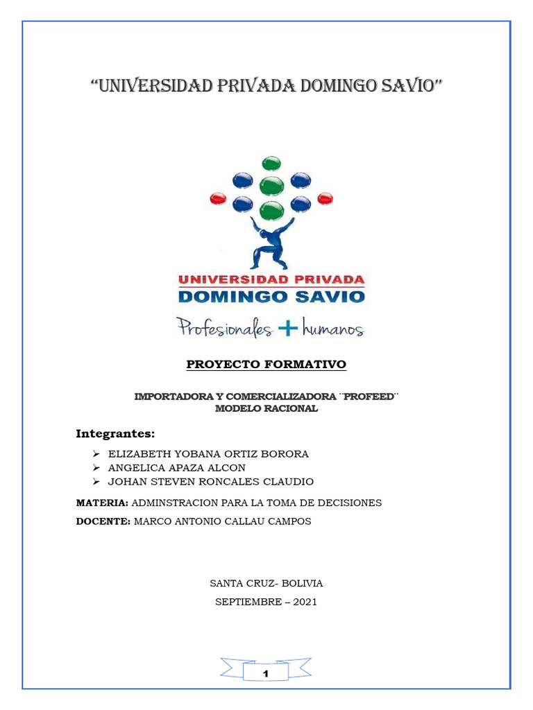 Proyecto Final ADM DECS - GRUPO 6 | PDF | Business | Marketing