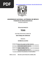 Formato Portada Portadilla Tesis-Unam | PDF | Ciencia y matemáticas