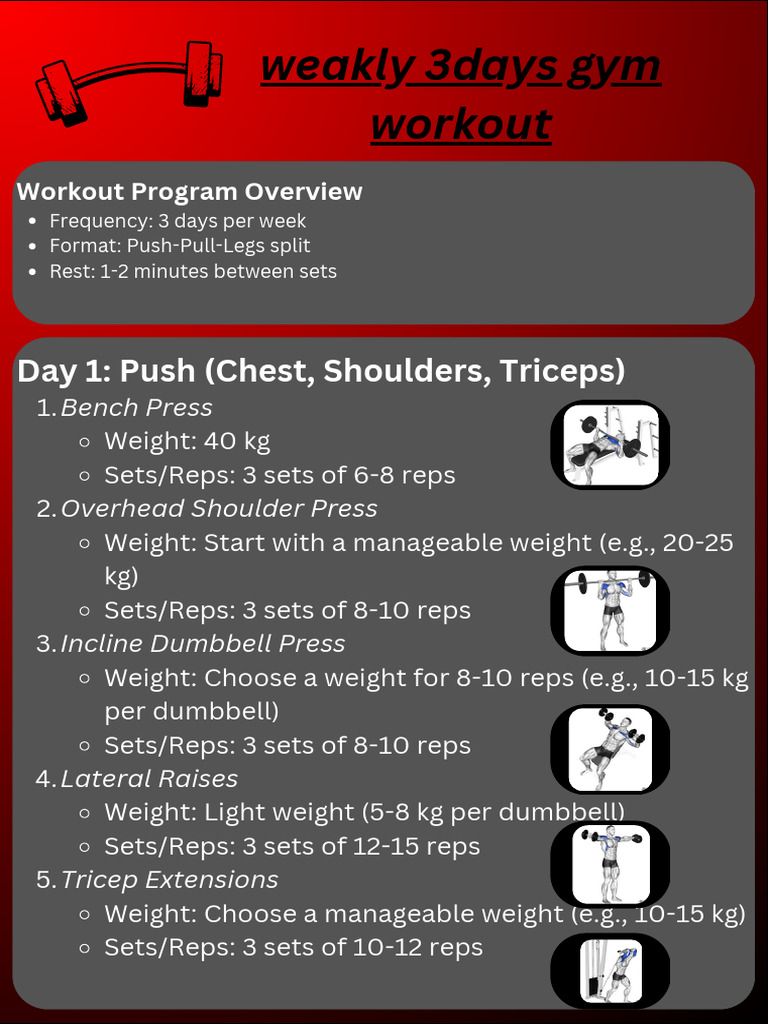 3-Day Push-Pull-Legs Workout Plan | PDF