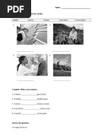 City of Melbourne Suburb and Postcode Boundary Map | PDF | Melbourne