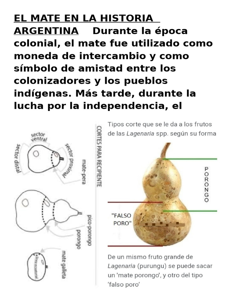 El Mate | PDF