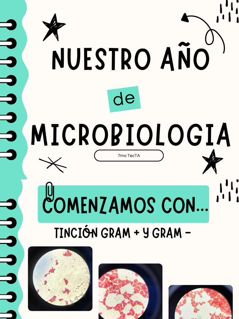 Presentación MICRO | PDF