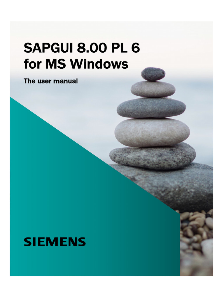 SAPGUI 8.00 PL6 User Manual | PDF | Microsoft Windows | Smart Card