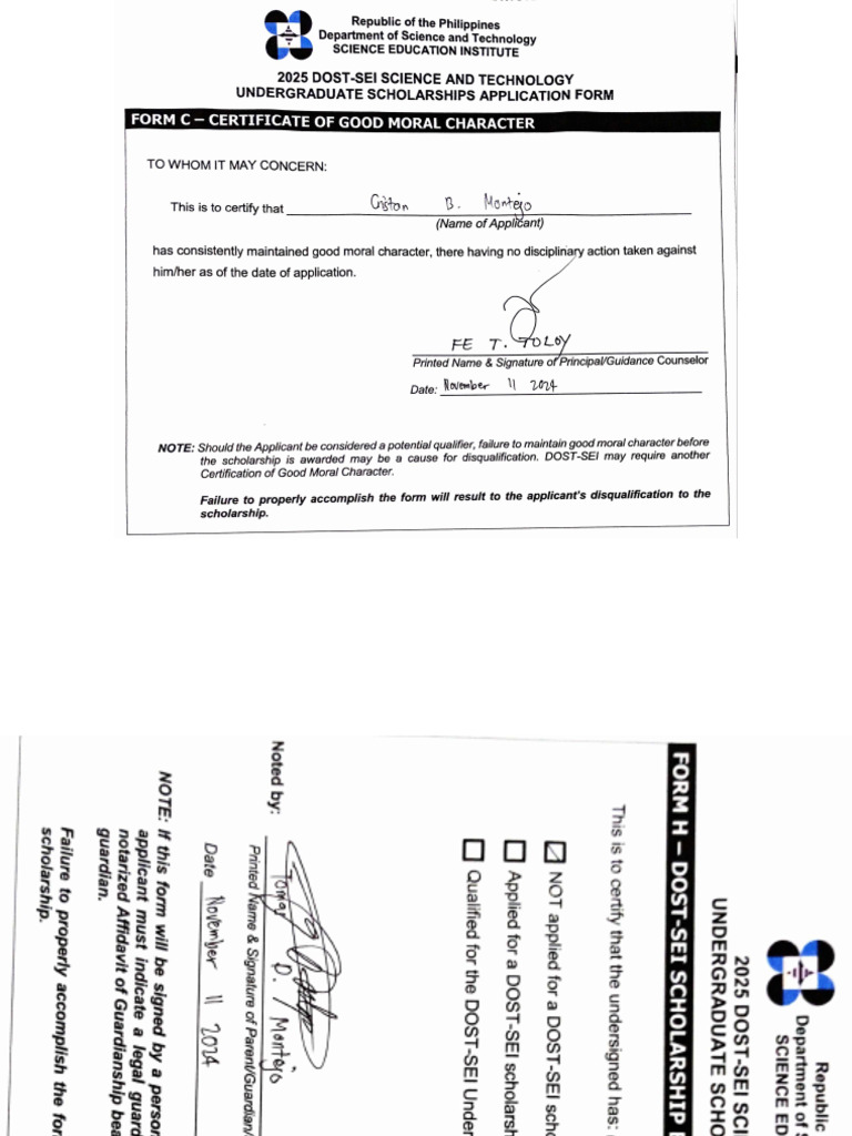 ACE Scanner - 2024 - 11 - 11 | PDF