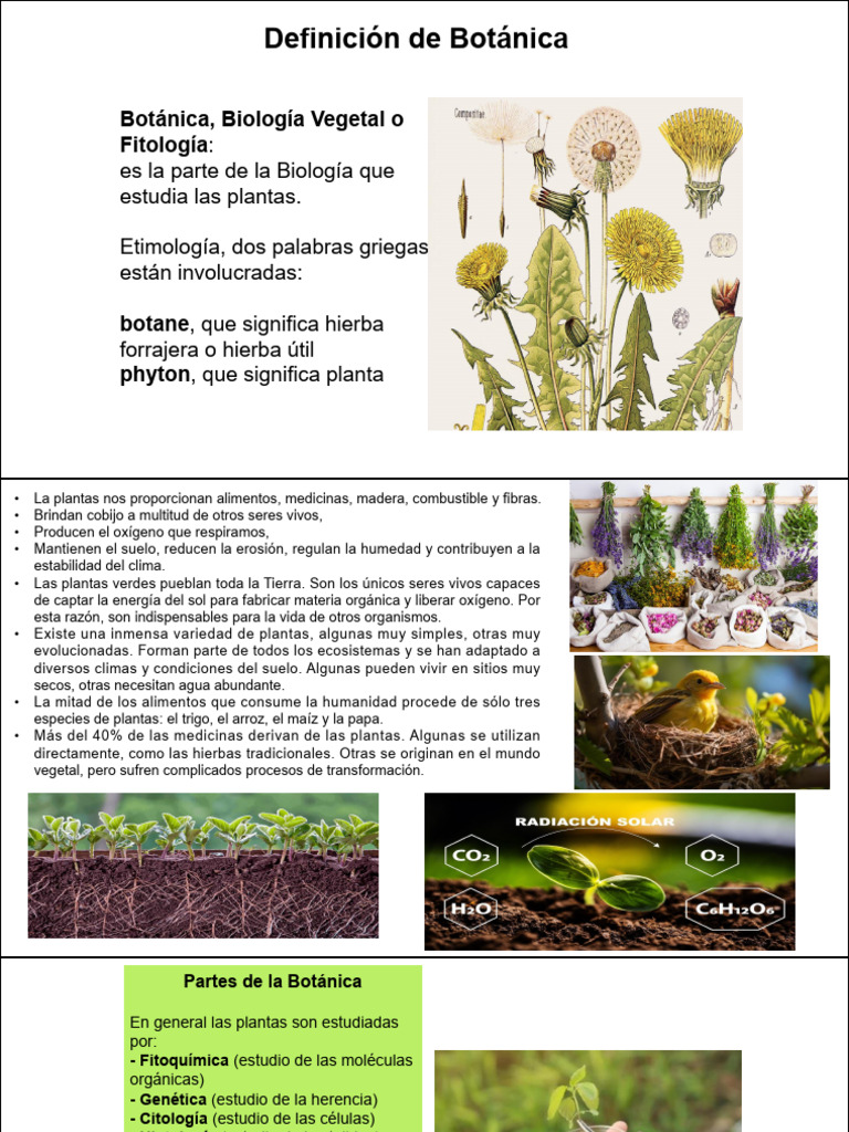 Introducción a la Botánica y Taxonomía | PDF | Taxonomía (biología ...