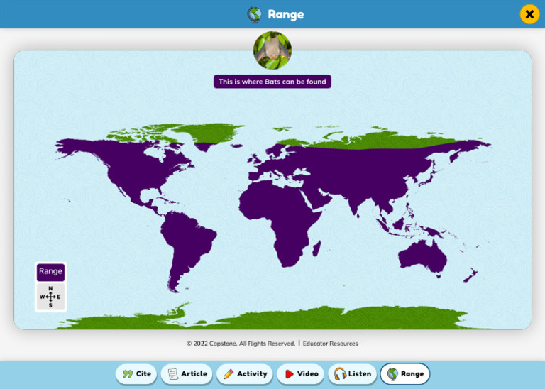 Bats - PebbleGo | PDF | Science & Mathematics