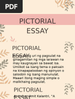 Pictorial Essay | PDF