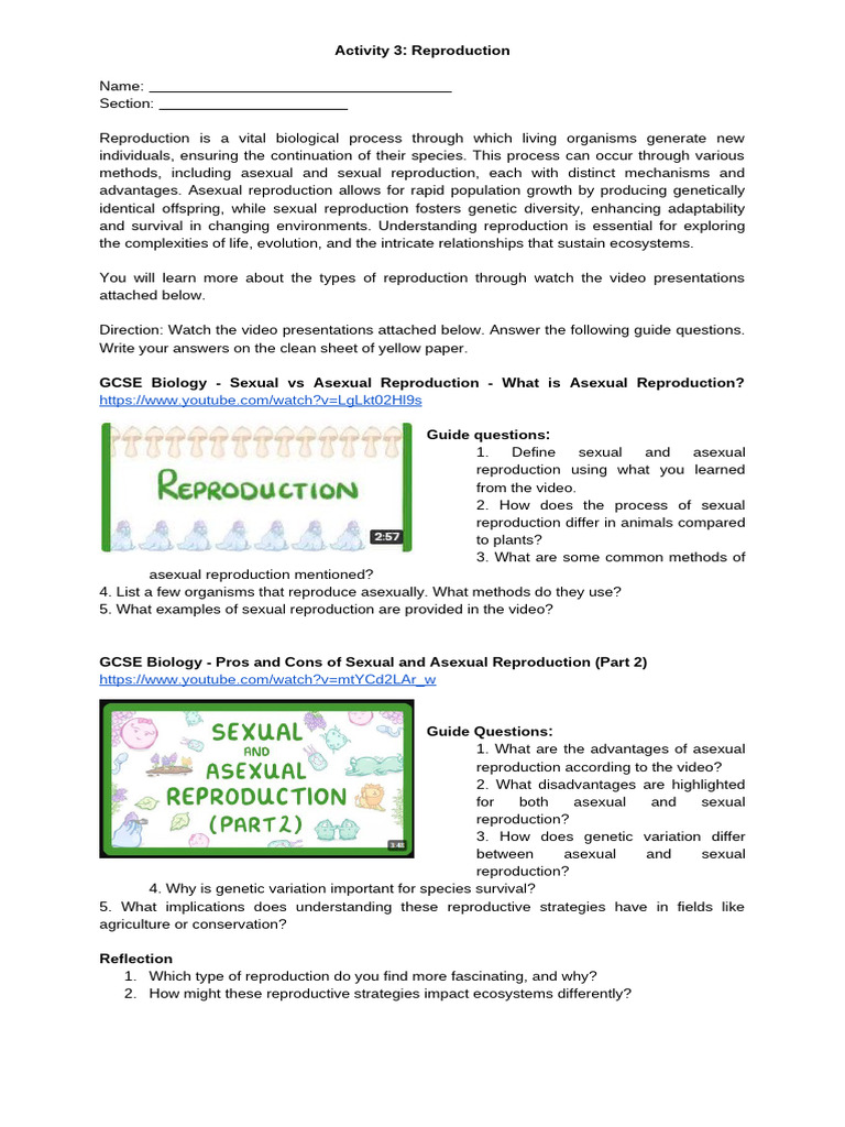 Activity 3 - Reproduction | PDF | Reproduction | Sexual Reproduction