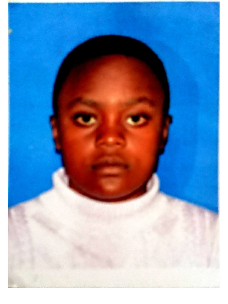 ACE Scanner - 2024 - 11 - 09 | PDF