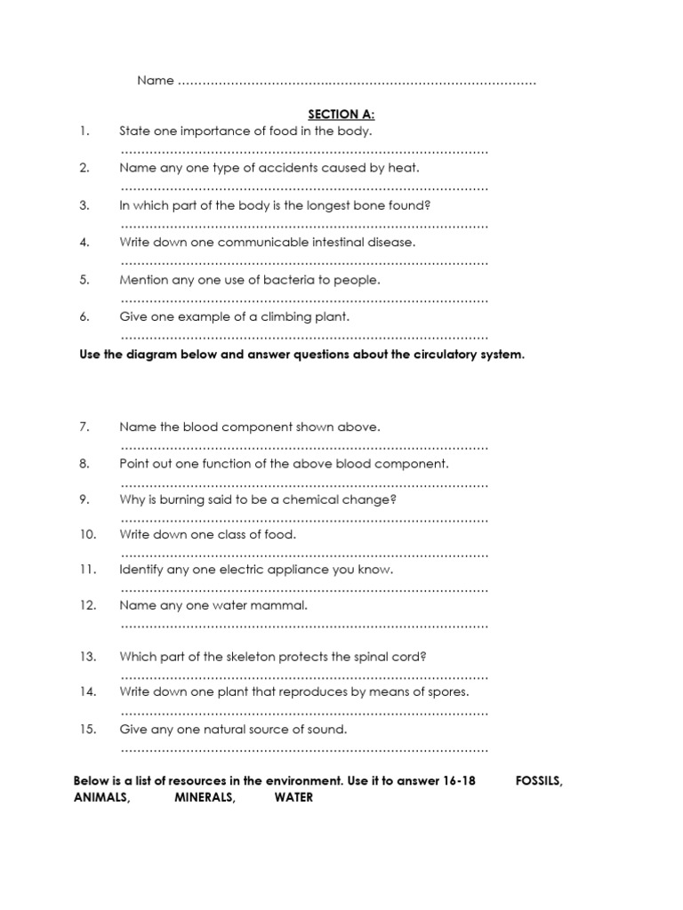 Primary Seven Integrated Science Covid 19 | PDF | Petal